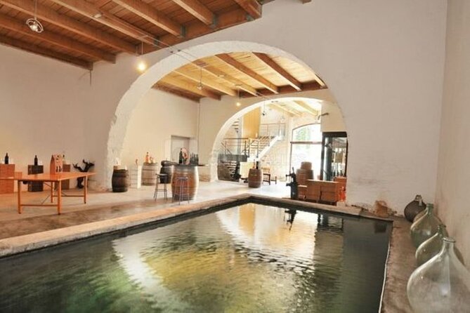 Full-Day Wine Tour Around Luberon From Marseille - Visiting Picturesque Luberon Wineries