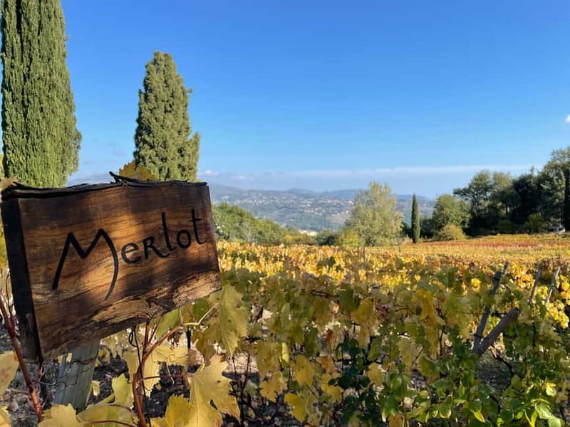 Full-Day Wine Tour in Bellet & Saint-Paul de Vence From Nice - Key Points