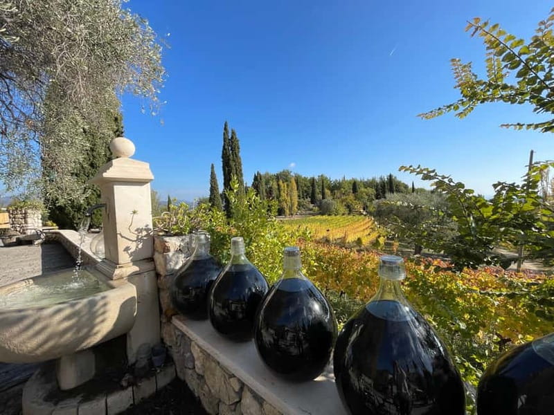 Full-Day Wine Tour in Bellet & Saint-Paul de Vence From Nice - The Value of This Tour