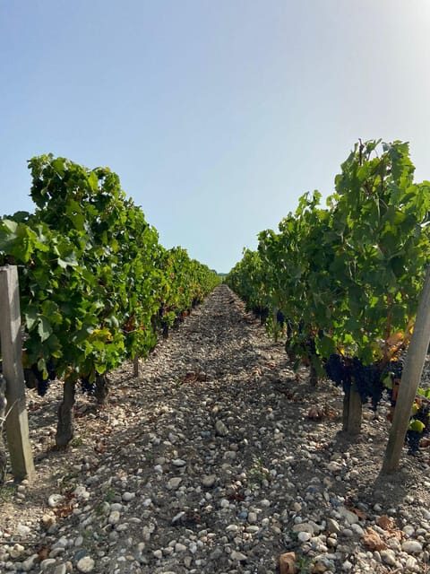 Full Day Wine tour in saint emilion & Margaux - What’s Included and Why It Matters