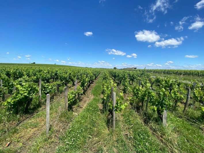 Full Day Wine tour in saint emilion & Margaux - The Itinerary Breakdown