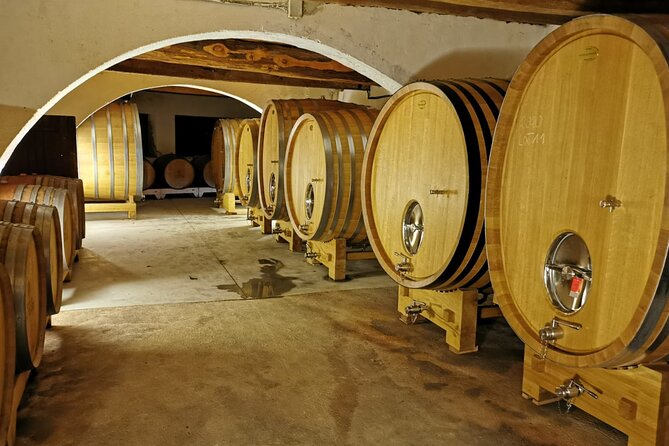 Full Day: Wine Tour of the Cassis Vineyards - What to Expect