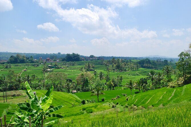 Full Day Wonders of Bali Group Tour with Pickup and Lunch - Exploring the Bali Butterfly Park