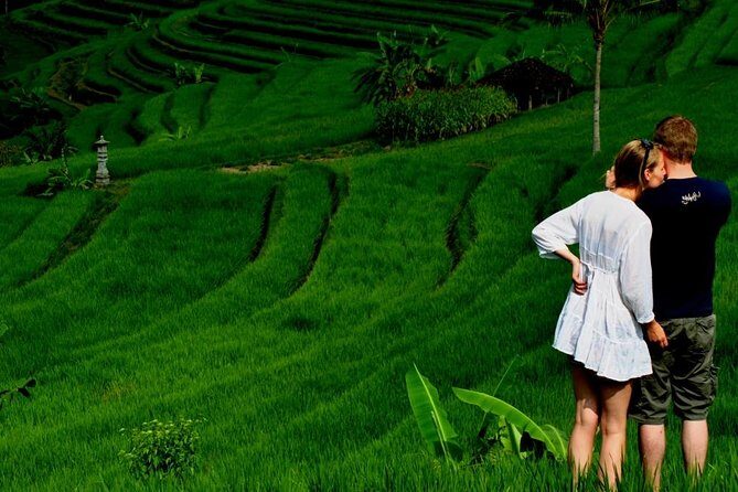 Full Day Wonders of Bali Private Tour with Pickup and Lunch - Considerations and Potential Drawbacks