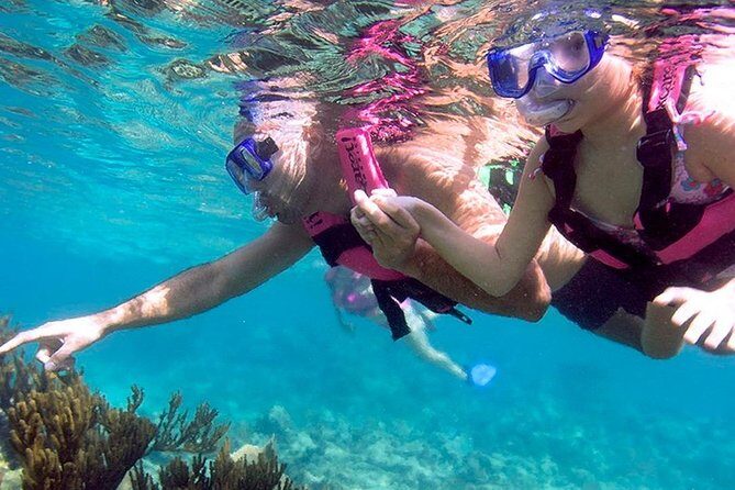 Full day Xcaret Plus & Buffet & from Cancun & Playa del Carmen - Who Will Appreciate This Tour?