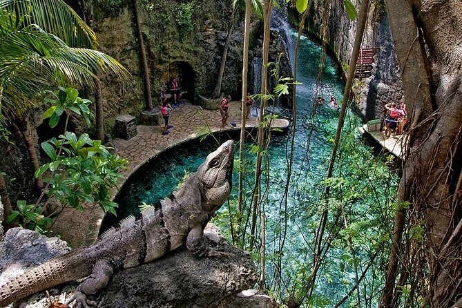 Full day Xcaret Plus & Buffet & from Cancun & Playa del Carmen - Final Thoughts