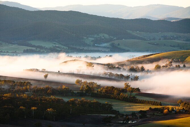 Full Day Yarra Valley Experience in Australia - Final Thoughts: Is It Worth It?
