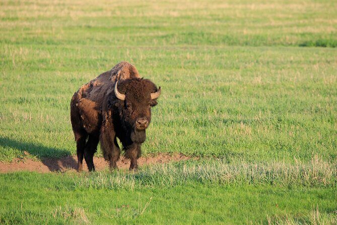 Full Day Yellowstone Nat'l Park Tour from Big Sky - Private Tour - Logistics & Practicalities