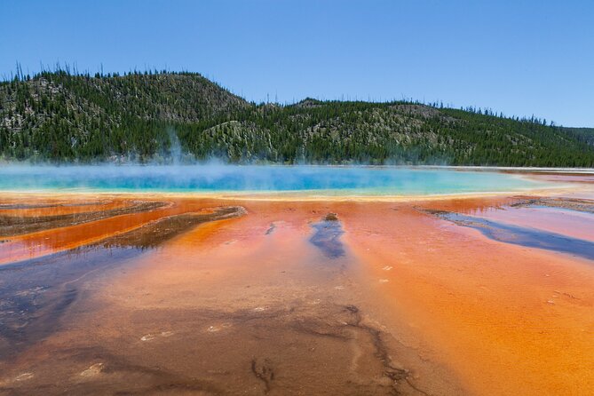 Full Day Yellowstone Nat'l Park Tour From West Yellowstone - Who Should Consider This Tour?