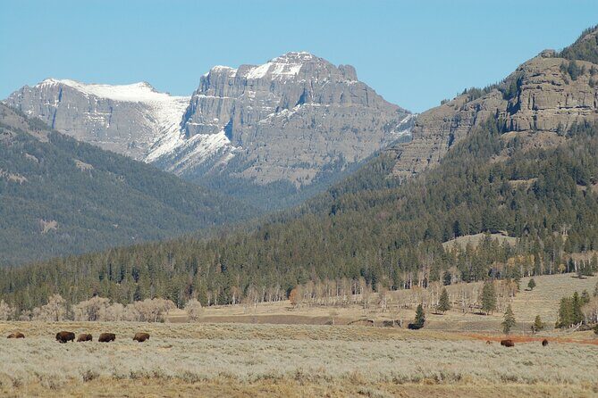 Full-Day Yellowstone Upper (Northern) Loop Tour - The Value in the Price