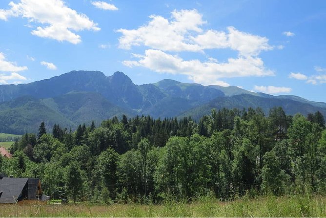 Full-Day Zakopane and Slovakia Treetop Walk From Krakow - Discover the Charm of the Full-Day Zakopane and Slovakia Treetop Walk Tour from Krakow