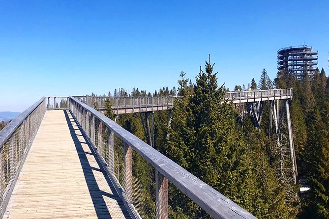 Full-Day Zakopane and Slovakia Treetop Walk From Krakow - Who Will Love This Tour?