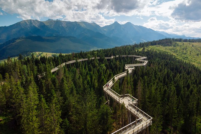 Full-Day Zakopane and Slovakia Treetop Walk From Krakow - The Sum Up