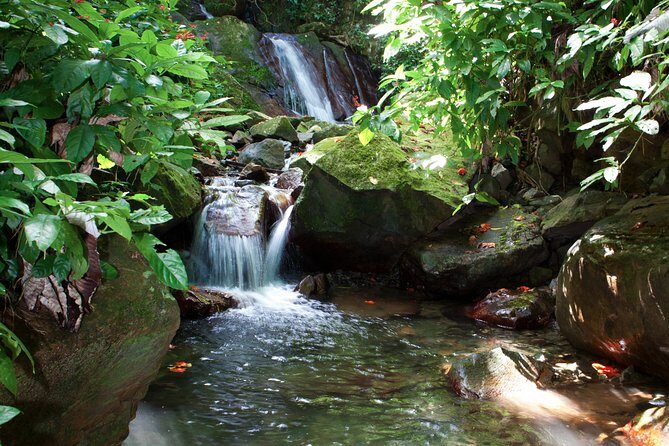 Full-Day Zipline and Waterfall Rappelling Adventure Near San Juan - FAQ