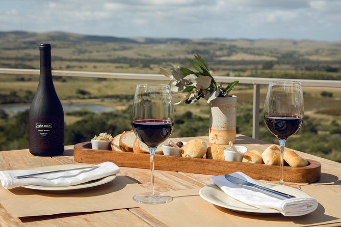 Full Experience Tasting Menu Viña Edén - The Tasting Experience