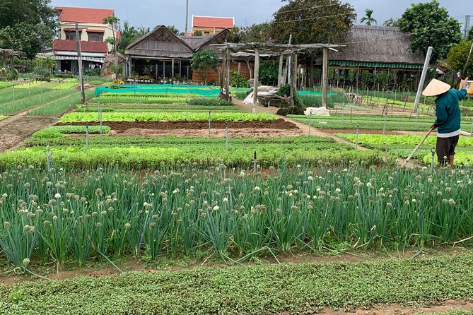 Full Experience Tour: Cooking Class & Basket Boat at Eco-Village - Considerations and Who It’s Best For