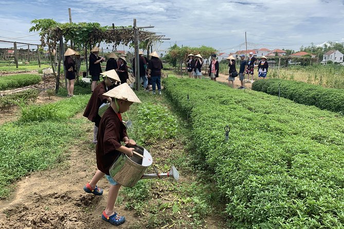 Full Experience Tour: Cooking Class & Basket Boat at Eco-Village - The Sum Up