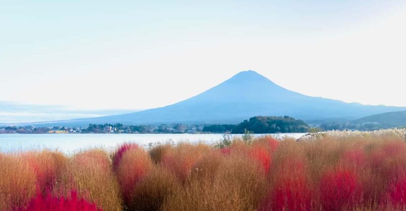 Full Guided Fuji San Private One Day Tour - Key Points