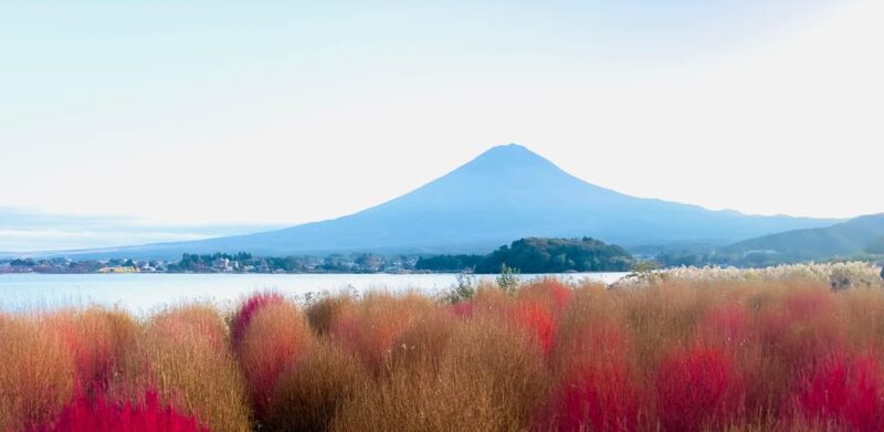Full Guided Fuji San Private One Day Tour - Transportation and Accessibility