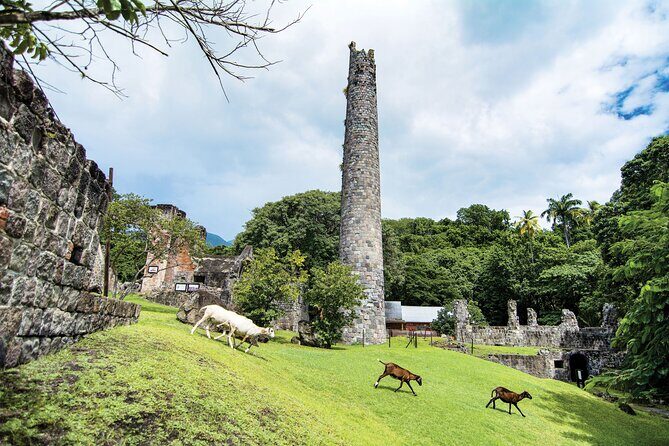 Full Island Private Tour - A Closer Look at the Full Island Private Tour