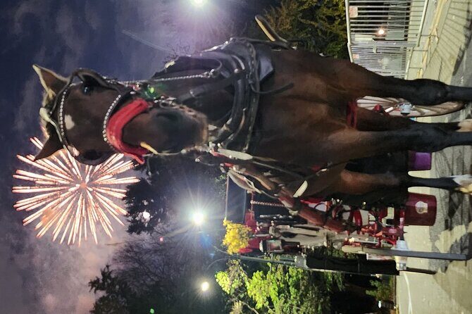 Full loop Private Horse Carriage Ride in Central Park 45 Minutes - Insights from Prior Reviews