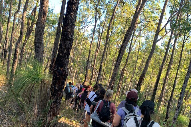 Full Moon Yoga Hiking Experience Mundaring - A Detailed Look at the Full Moon Yoga Hiking Experience in Mundaring