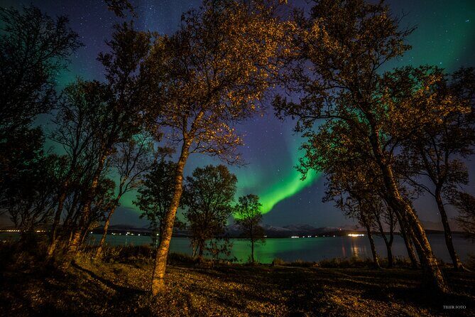 Full Night Magic of the Northern Lights in Tromso - Full Night Magic of the Northern Lights in Tromsø: An Honest Look