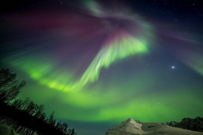 Full Night Magic of the Northern Lights in Tromso - The Experience: Authentic and Personal