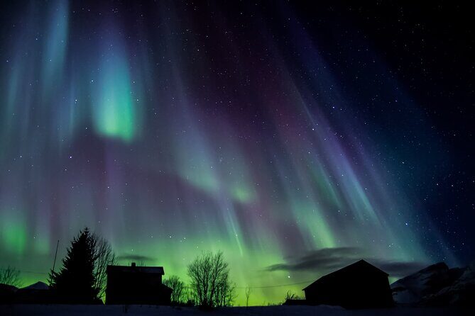 Full Night Magic of the Northern Lights in Tromso - Who Should Book This Tour?