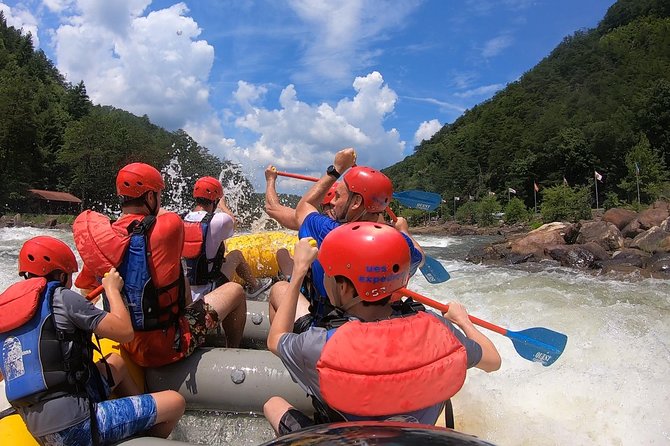 Full Ocoee River Rafting Adventure With a Riverside Lunch - Picnicking by the Riverside