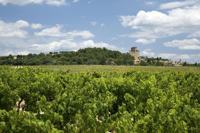 Full private day Avignon Chateuneuf du pape wine tasting - What’s the Value?