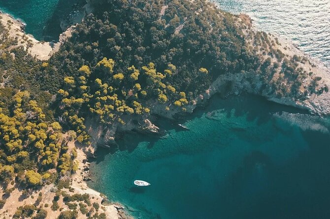 Full Private Day Tour Sailing Experience in Halkidiki - Turtle Island (Kelyfos): The Highlight for Nature Lovers