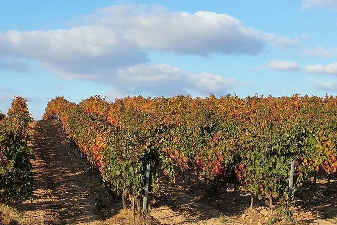 Full Rioja Wine Tour With Lunch From San Sebastian Private Tour - Inclusions