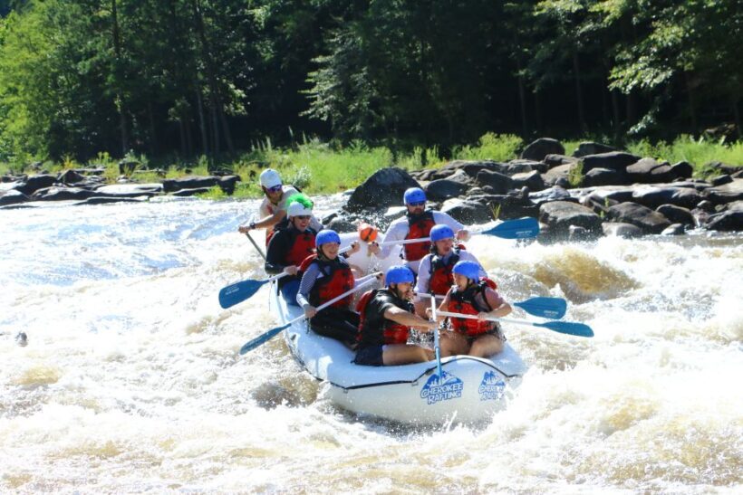 Full River Ocoee Whitewater Rafting Trip with Shore Lunch - Who Will Love This Experience?
