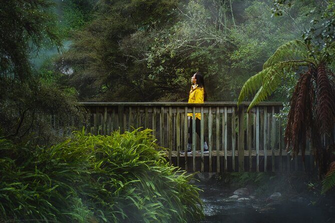 Full Waimangu Experience - Walk & Cruise - Discovering Waimangu: A Natural Showcase