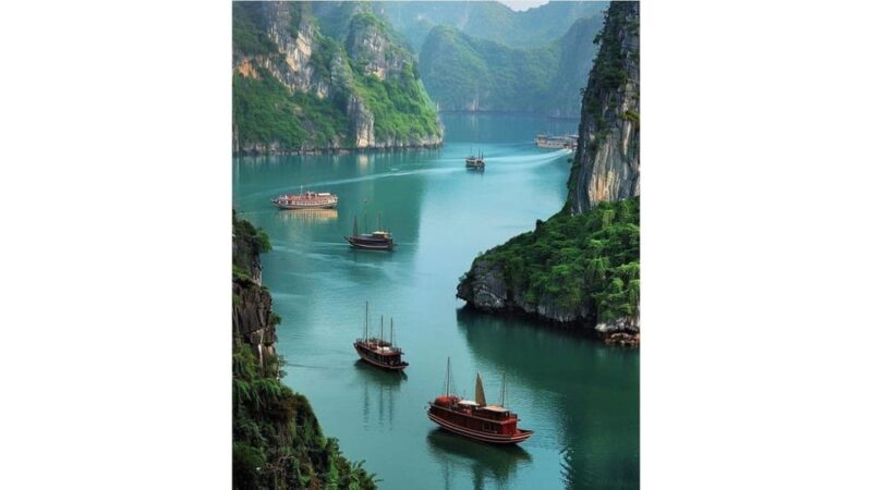 Full-Day In Ha Long Bay, Luon Cave And Titop Island - Who Will Love This Tour?