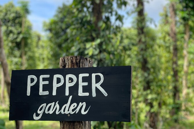 Full-Day Private Tour in Starfish Beach and Phu Quoc Northern Part - Key Points