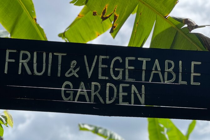 Full-Day Private Tour in Starfish Beach and Phu Quoc Northern Part - Who Will Love This Tour?