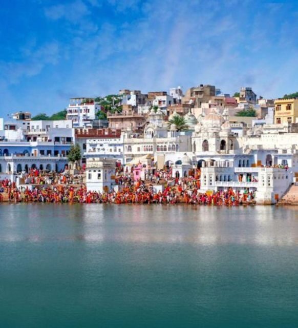 Fullday pushkar tour from jaipur with guid+camel/jeep safari - Introduction