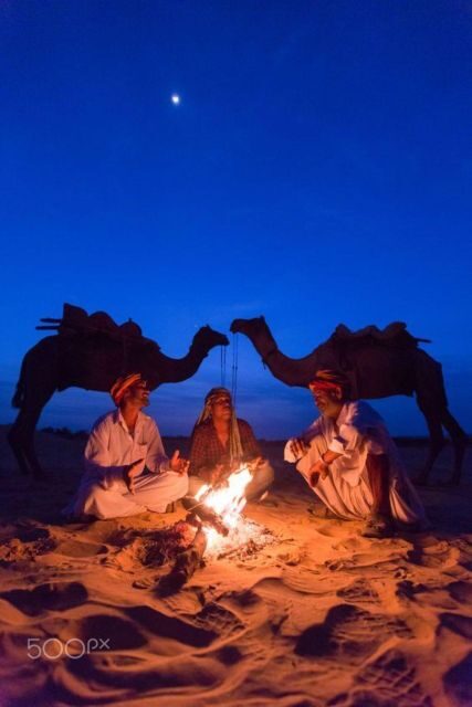 Fullday pushkar tour from jaipur with guid+camel/jeep safari - The Sum Up