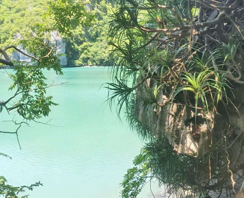 Fullday Sailing Boat Tour to Angthong Marine Park - Why Choose This Tour?