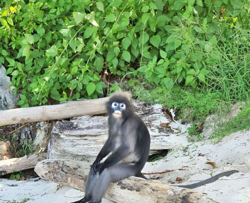 Fullday Sailing Boat Tour to Angthong Marine Park - A Closer Look at the Itinerary