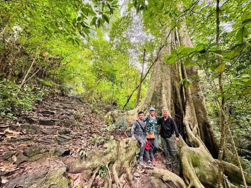 Fullday Trekking in Cat Ba National Park to Viet Hai Village - Key Points