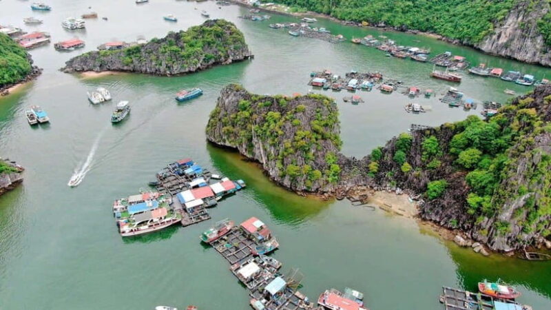 Fullday Trekking in Cat Ba National Park to Viet Hai Village - Final Thoughts: Who Will Love This Tour?