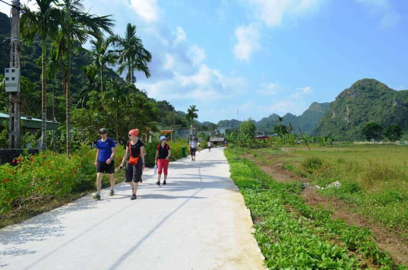 Fullday Trekking in Cat Ba National Park to Viet Hai Village - FAQ