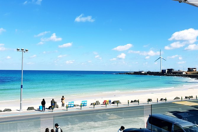 Fully Customizable Private Tour of Jeju Island - Who Will Love This Tour?