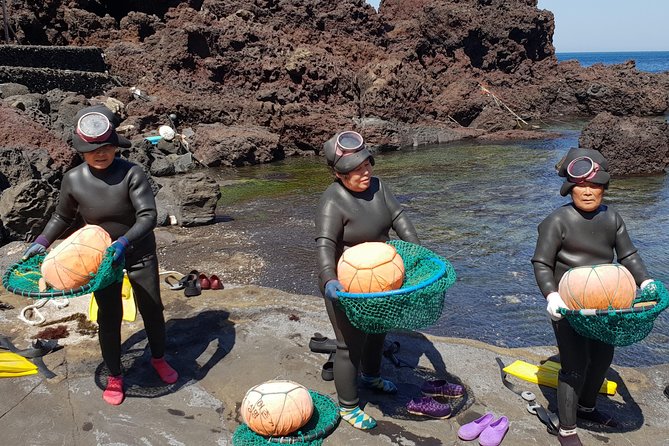 Fully Customizable Private Tour of Jeju Island - FAQs