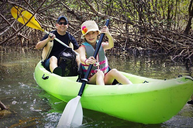 Fully Guided Kayaking Backwater Manatee and Dolphin Tour - Introduction
