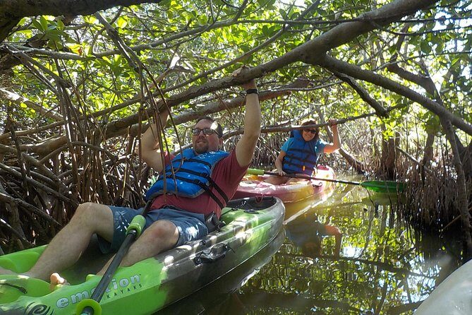 Fully Guided Kayaking Backwater Manatee and Dolphin Tour - What Could Be Better?
