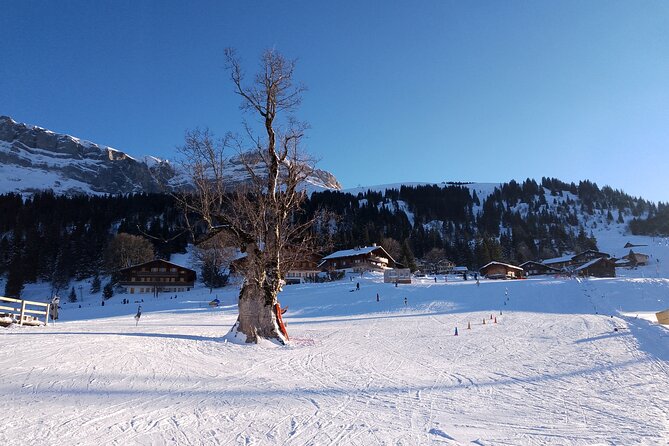 Fully organized Ski Experience for Private Groups - Transportation and Timing